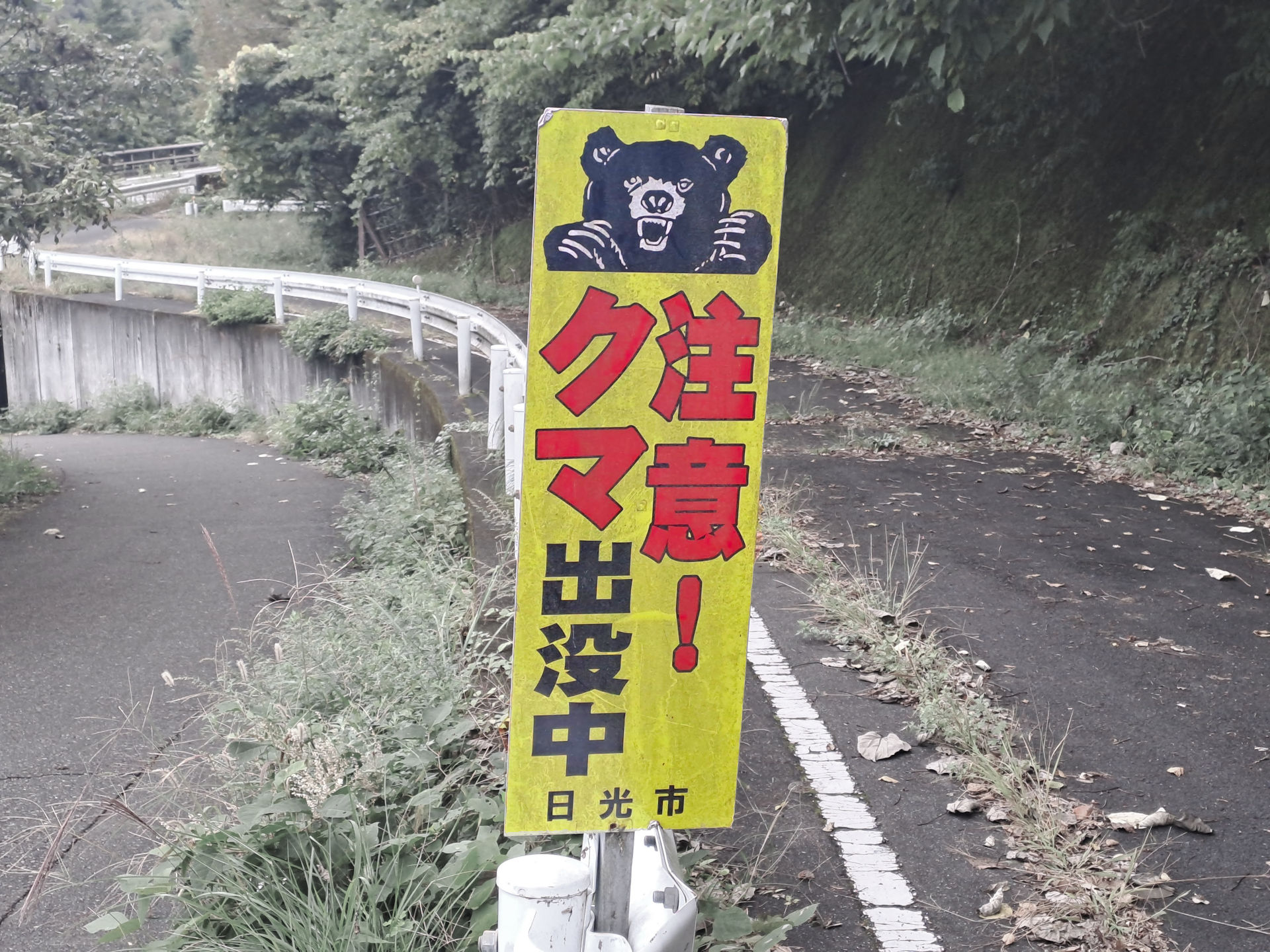 Not a good sign | Micah Woods: the official site